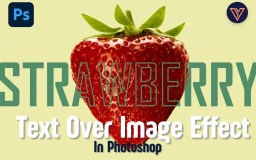 Home - Adobe Tutorial