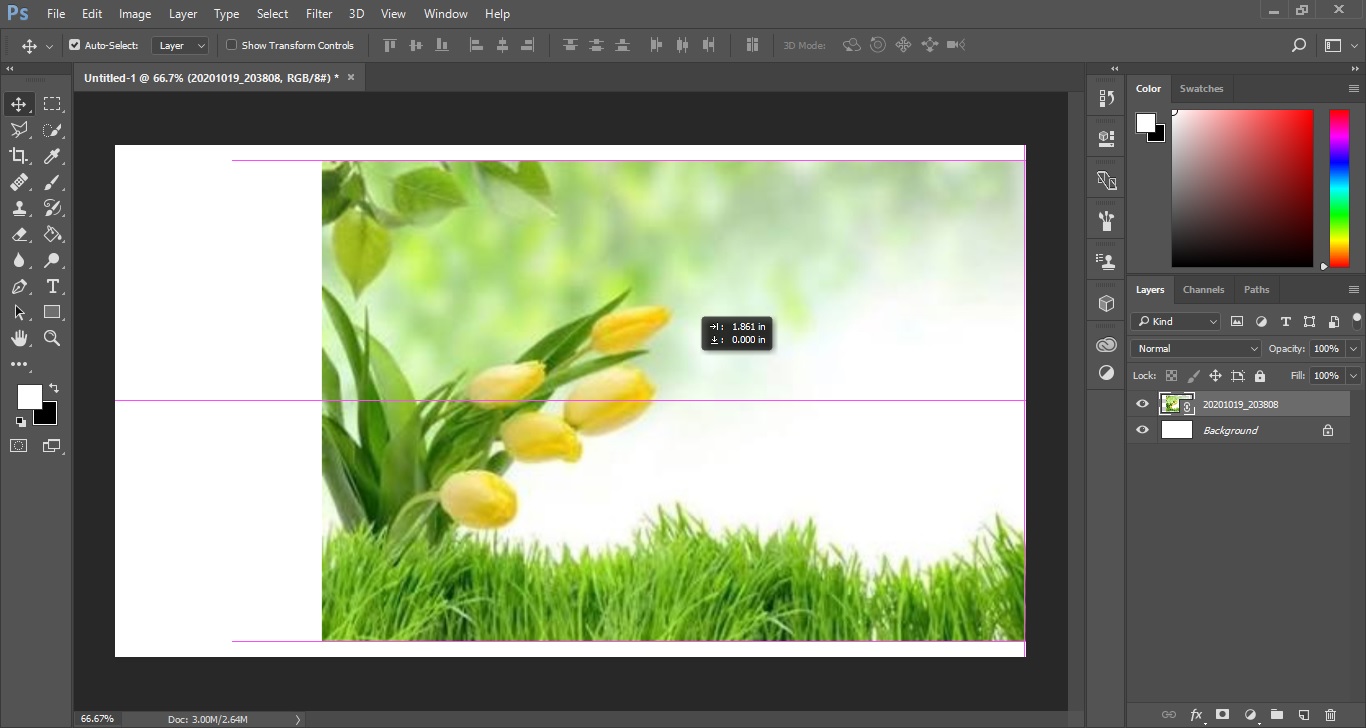 Photoshop Tools: the Beginner’s Guide - Adobe Tutorial
